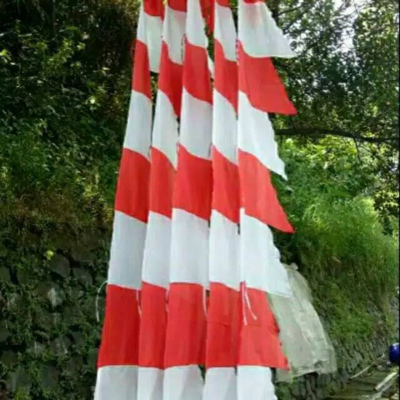 Jual Umbul Umbul Bendera Merah Putih Polos / Umbul Umbul Bendera Warna Polos Zig Zag | Shopee ...