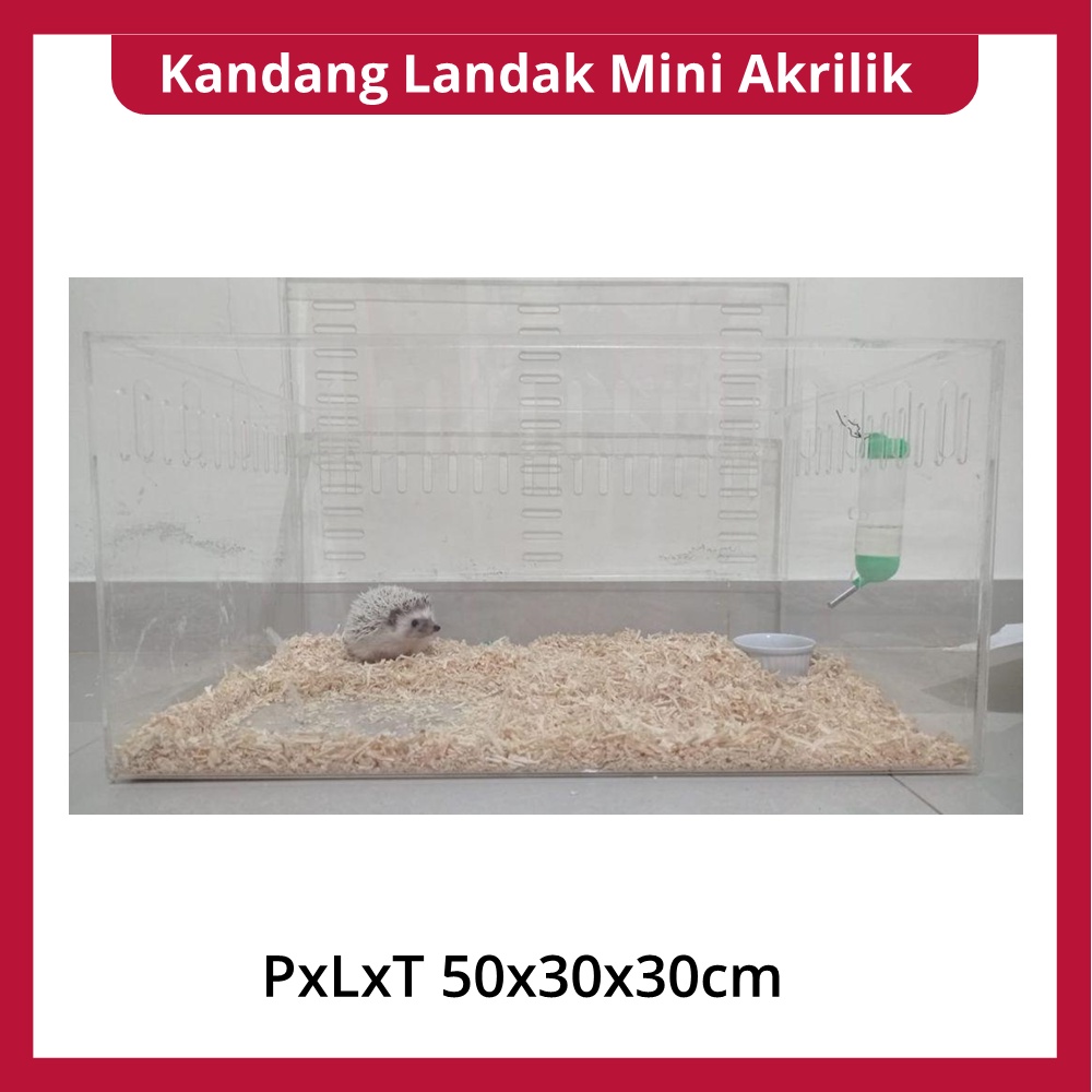 Jual Kandang Landak Mini Akrilik PxLxT 50x30x30cm | Shopee Indonesia