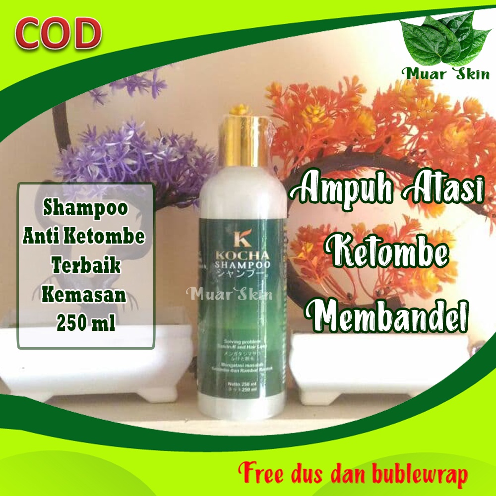Jual sampo ketombe parah berkerak ampuh pria sampo anti ketombe dan gatal | Shopee Indonesia