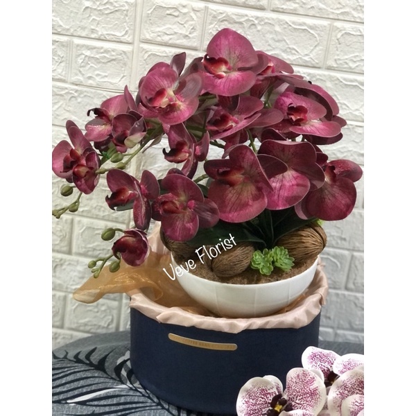 Jual Anggrek latek premium bunga 9 kuntum / tebal/ lengkap dengan pot ...