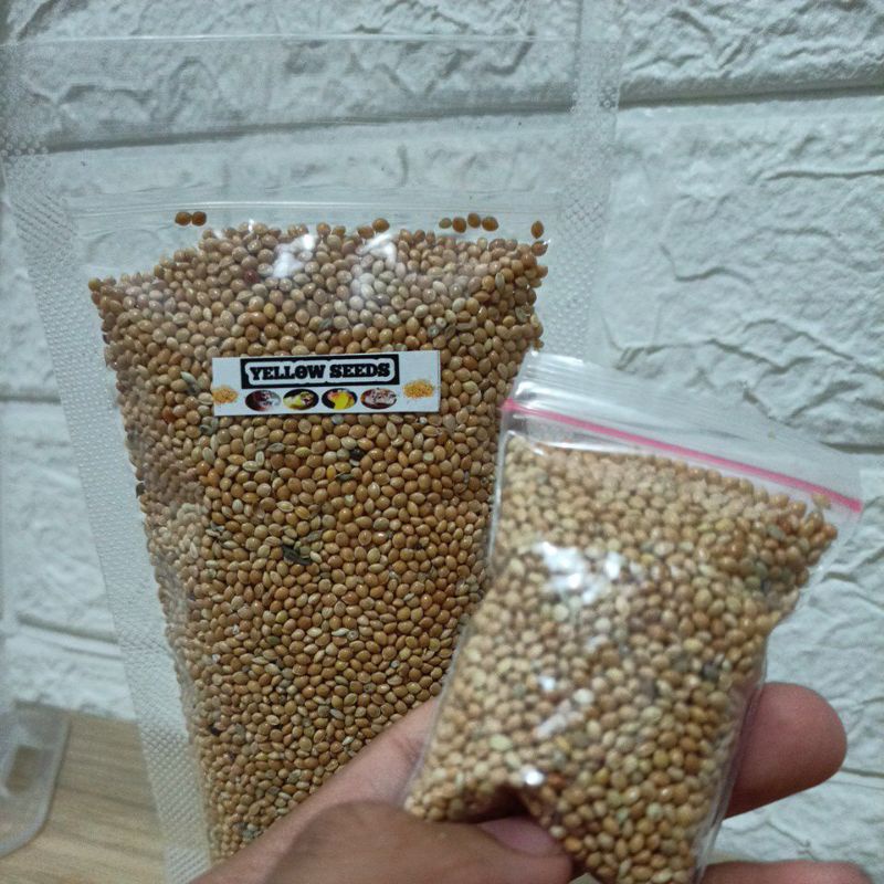 Jual Yellow Seed Milet Millet MINI Pack Biji Sehat Makanan Hamster ...