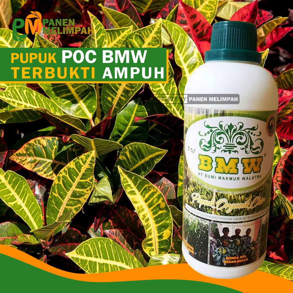 Jual Pupuk Organik Cair POC Penyubur Tanaman Perangsang Akar Pelebat Daun Puring Anggur POC BMW ...