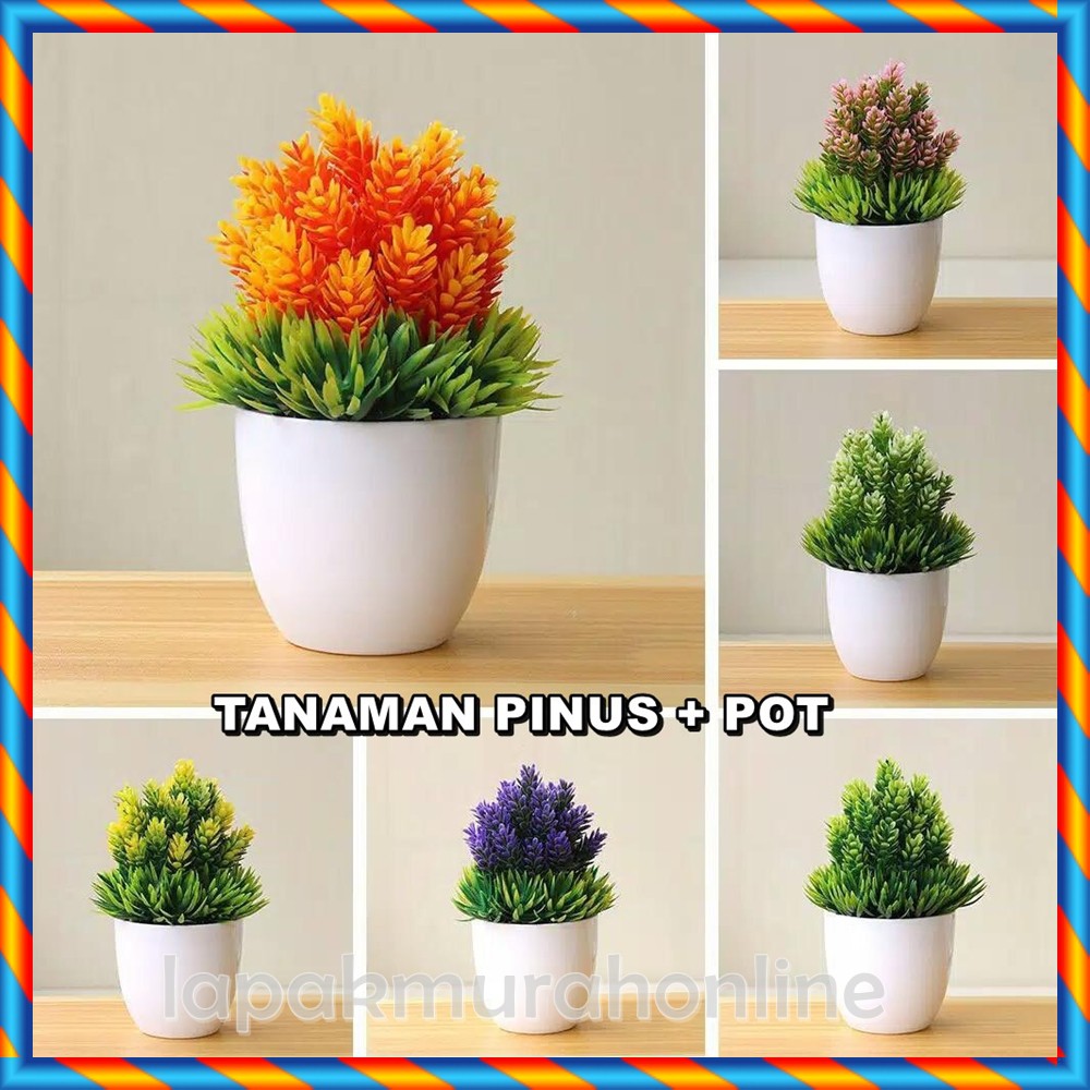 Jual Ornamen Tanaman Pohon Pinus Artificial Flower Decoration Pot Bunga ...