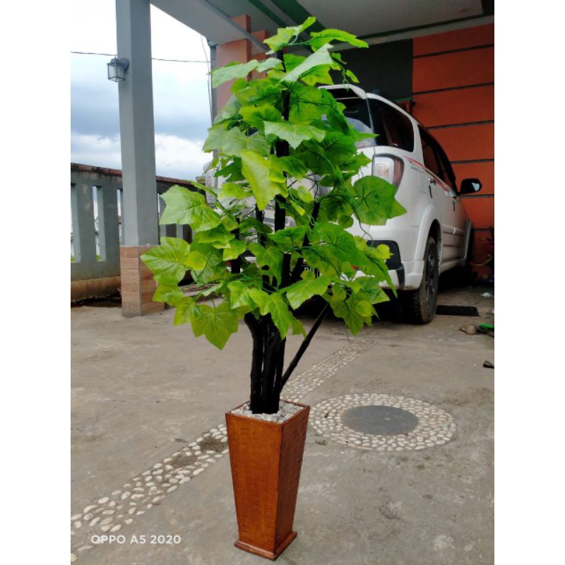 Jual Bunga Hias/Pojok Ruangan/Daun Anggur 100cm | Shopee Indonesia