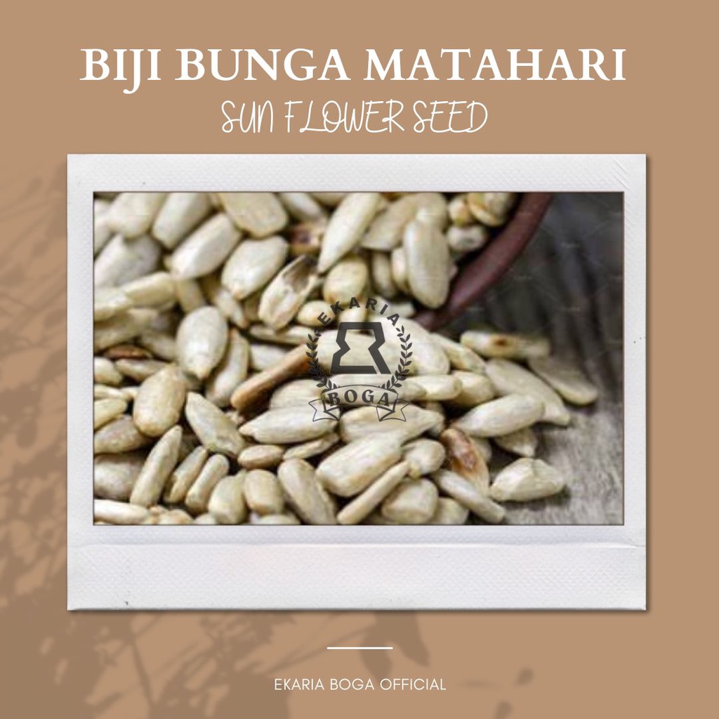 Jual SEED | SUNFLOWER | BIJI BUNGA MATAHARI | SUN FLOWER SEEDS 1KG ...