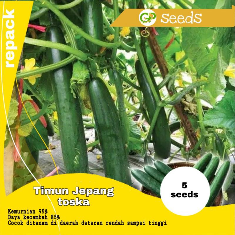Jual benih timun jepang | benih sayuran | bibit sayuran | benih tanaman ...