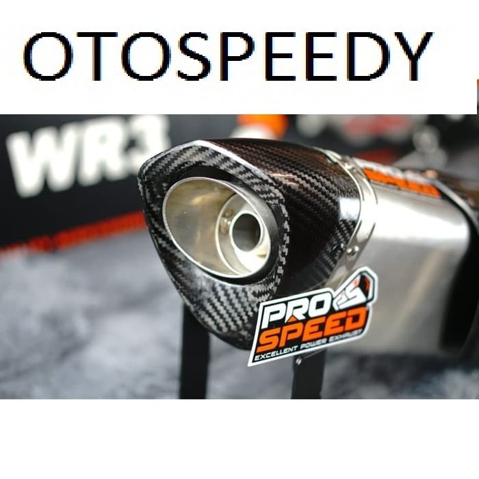 Jual Knalpot prospeed Viper ninja 250 fi full system new ninja 250 fi ...