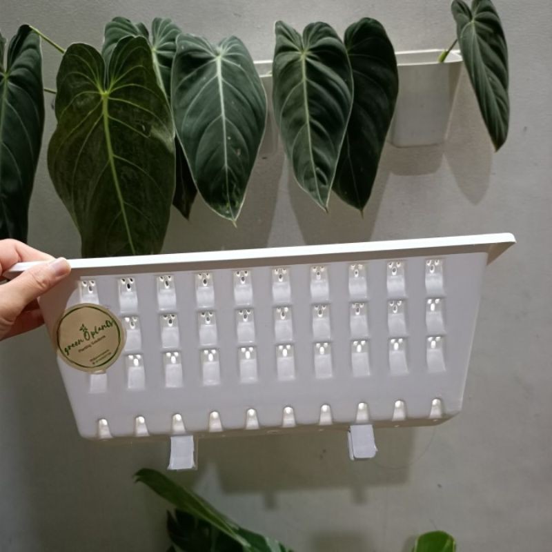 Jual Pot Bunga Tanaman Kait Gantung Dinding Vertikal Vertical Garden ...