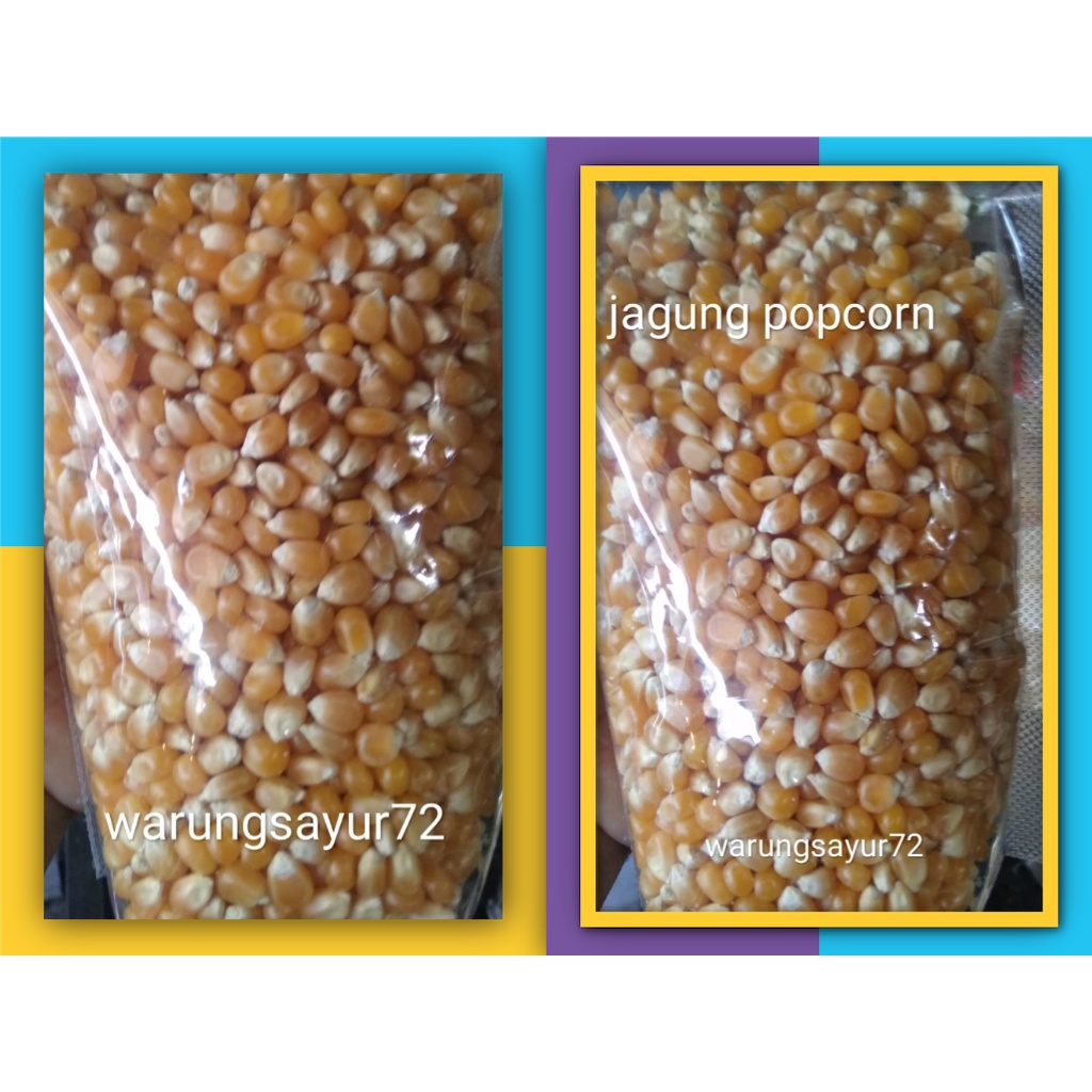Jual Jagung PopCorn 500 Gram/1 Kg | Shopee Indonesia