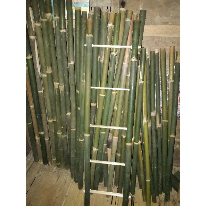 Jual Tangga Bambu Jemuran | Shopee Indonesia