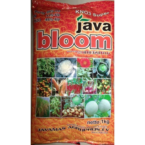 Jual JAVA BLOOM 1 KG | Shopee Indonesia