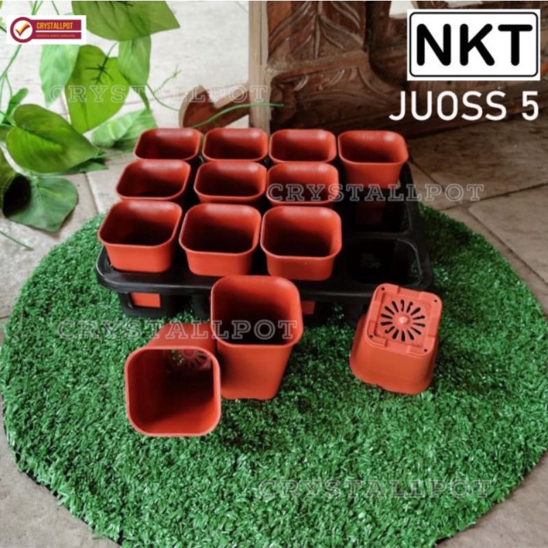 Jual 1 set Tray + pot bunga nkt kotak 5cm MERAH BATA | tray semai bibit ...