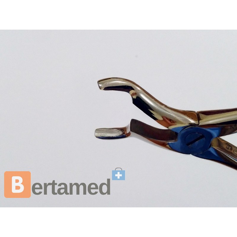 Jual MARWA Tooth Extracting Forcep For Adult - Tang Cabut Gigi Dewasa ...