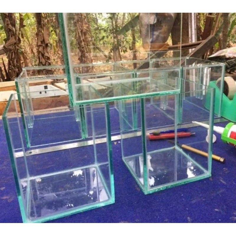 Jual Soliter ikan cupang 15*15*20/ soliter jantur/soliter selfie ...