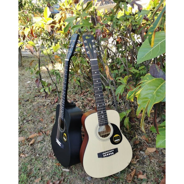 Jual Gitar Akustik Cort 3/4 Custom | Shopee Indonesia