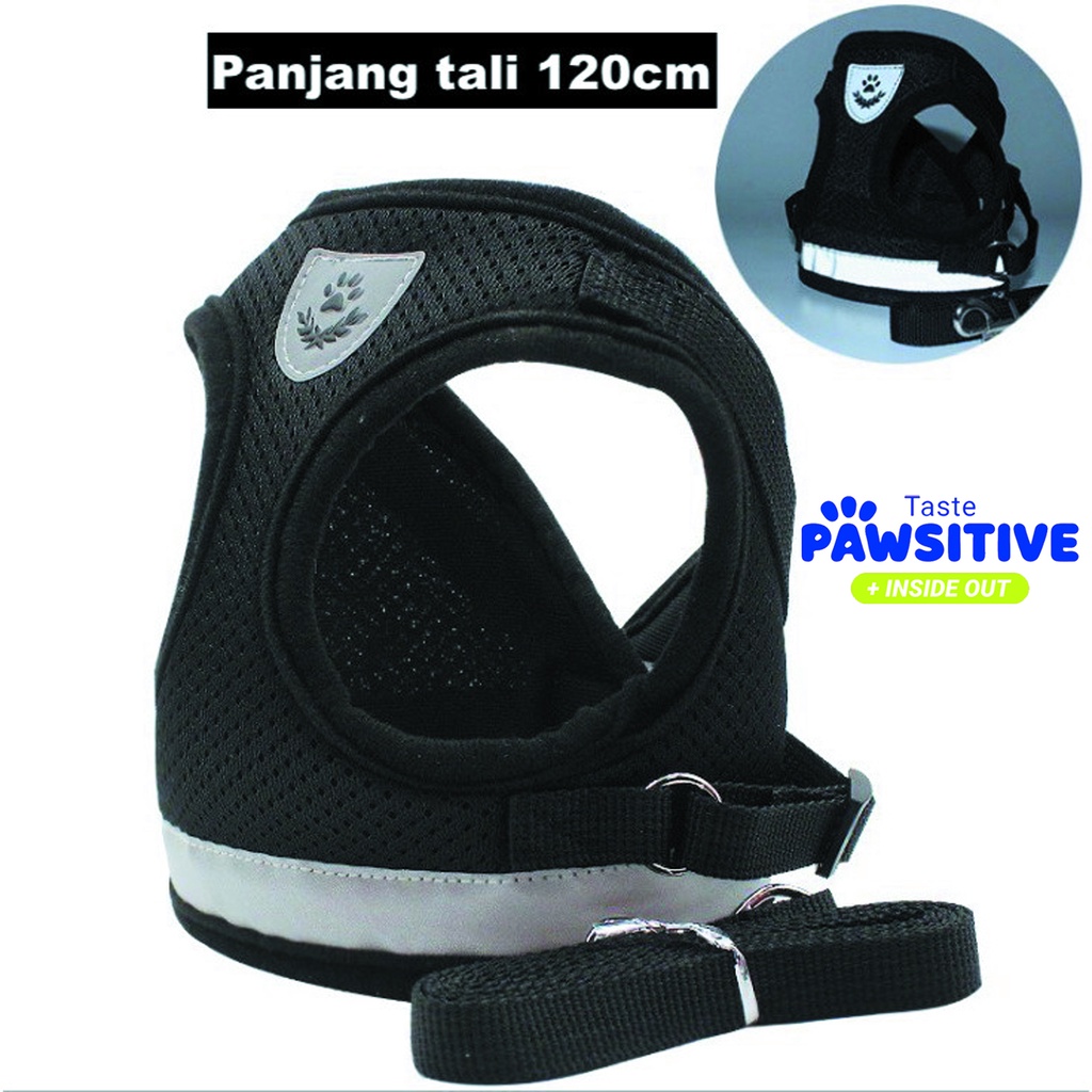 Jual Tali Kucing Harness Anjing Kucing TALI TUNTUN KUCING TALI Anjing ...