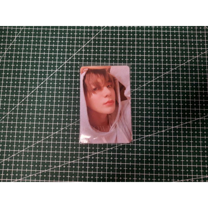 Jual JENO SELCA CANDYLAB VER 2 (booked @jjeongchulie) | Shopee Indonesia