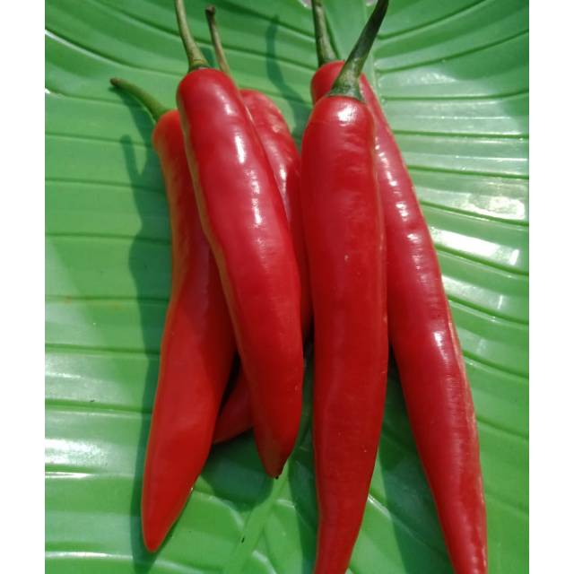 Jual Cabe Merah TW Besar | Shopee Indonesia