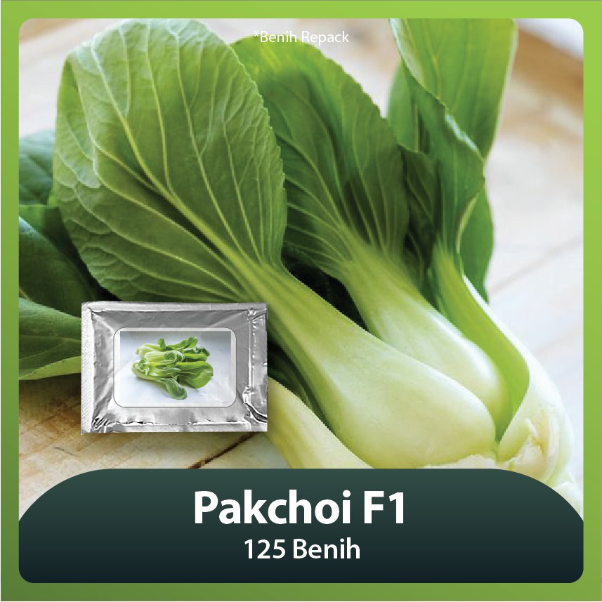 Jual Benih Pak Choi F1 isi 125 Benih - (Repacking) | Shopee Indonesia