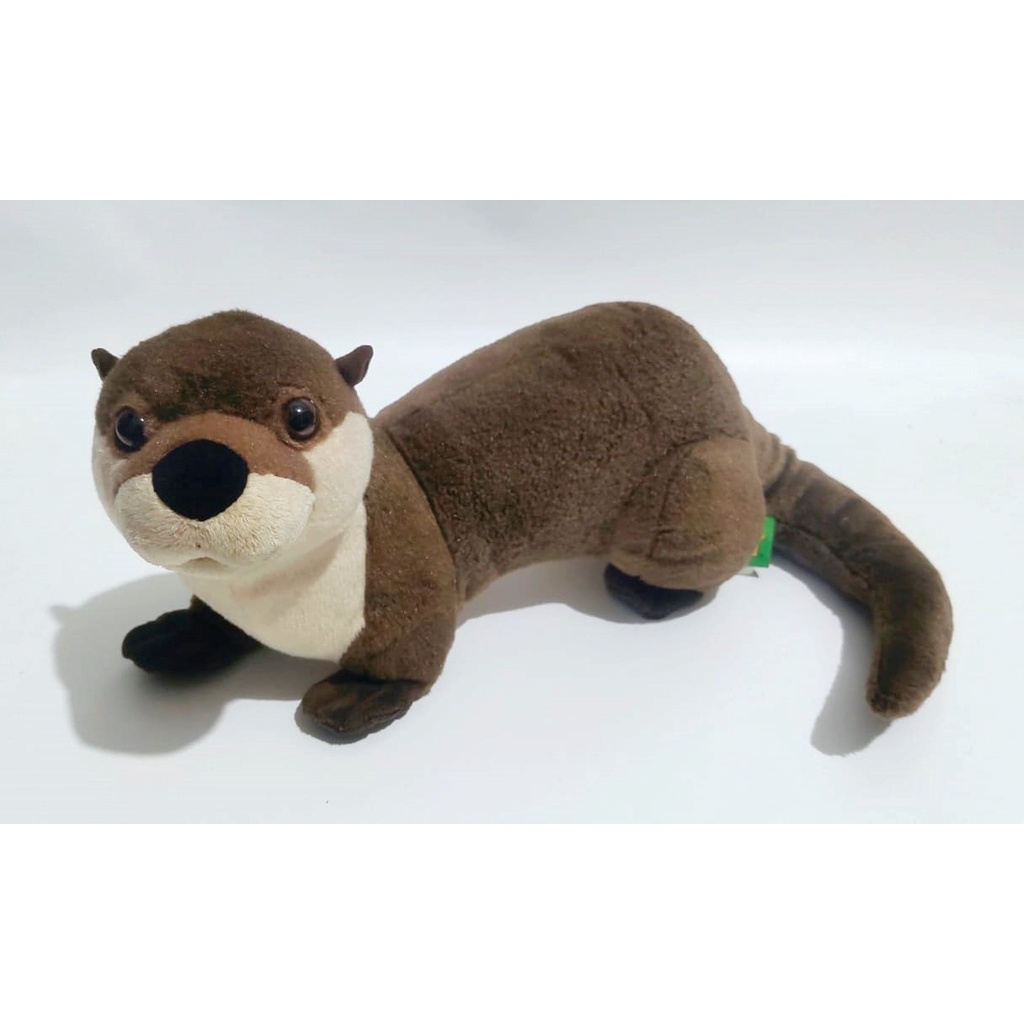 Jual Boneka Berang Berang Beaver Original Wild Republic Realistic ...