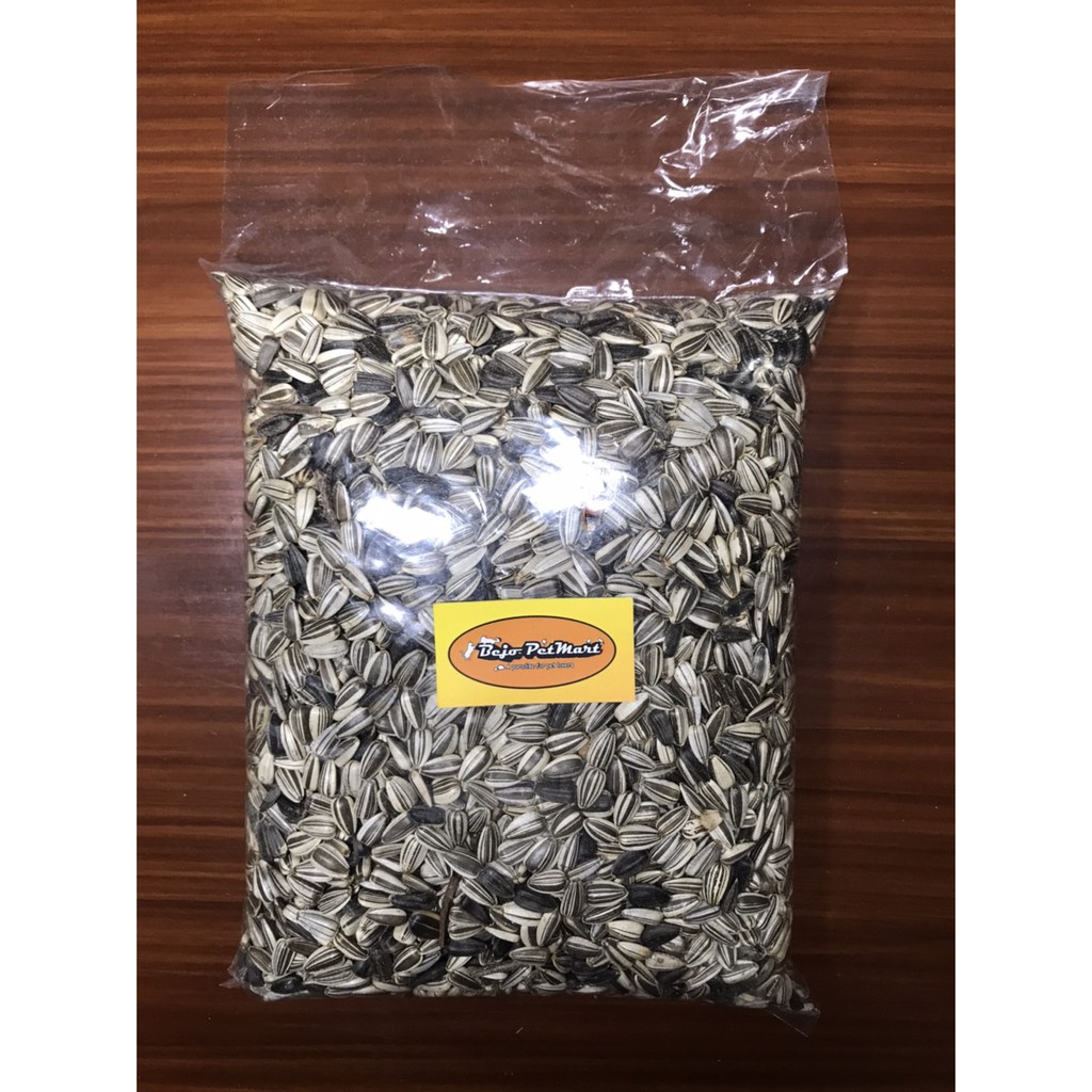 Jual Kuaci Hitam BIJI KUACI KWACI HITAM SUN SEED BUNGA MATAHARI | PAKAN ...