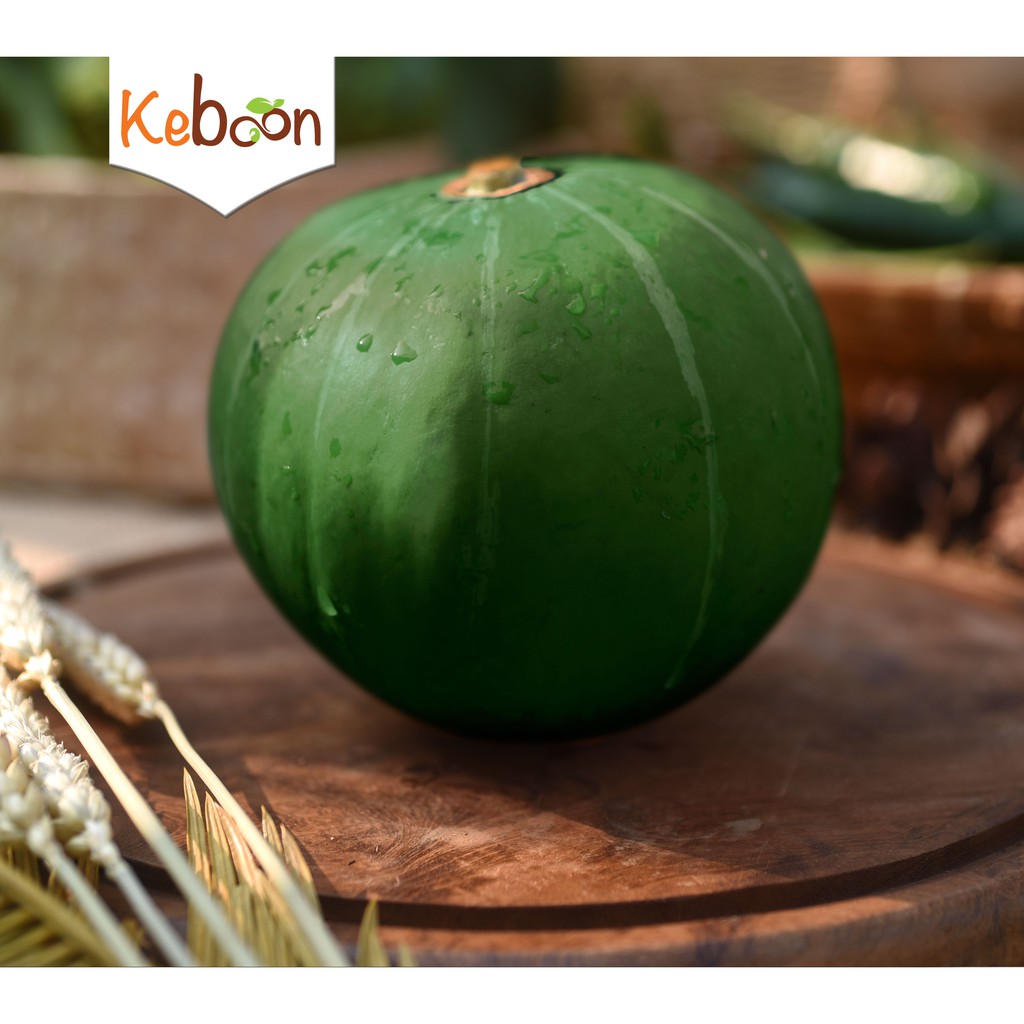 Jual Kabocha Hijau Organik (550 gr) | Shopee Indonesia