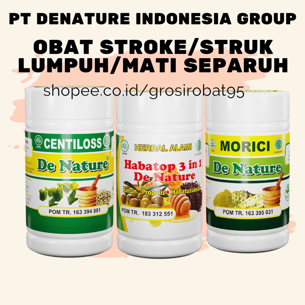 Jual Herbal Obat Struk Stroke Badan Mati Separo Badan Lumpuh Saraf ...