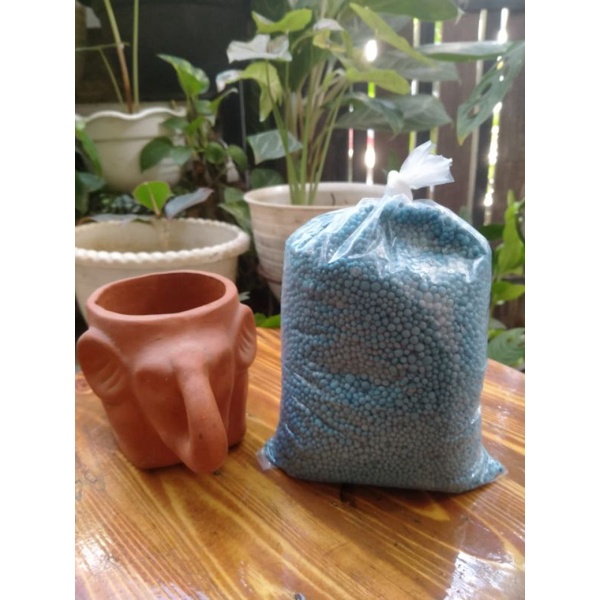 Jual pupuk npk mutiara 161616 pupuk biru pupuk tanaman pupuk npk pupuk ... Jual pupuk npk mutiara 161616 pupuk biru pupuk tanaman pupuk npk pupuk ...