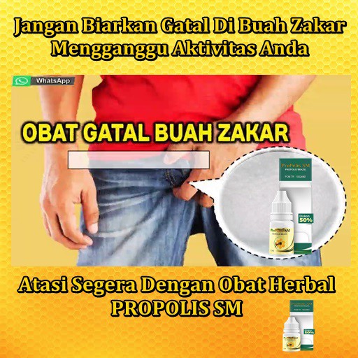 Jamur Di Buah Zakar - Perumperindo.co.id
