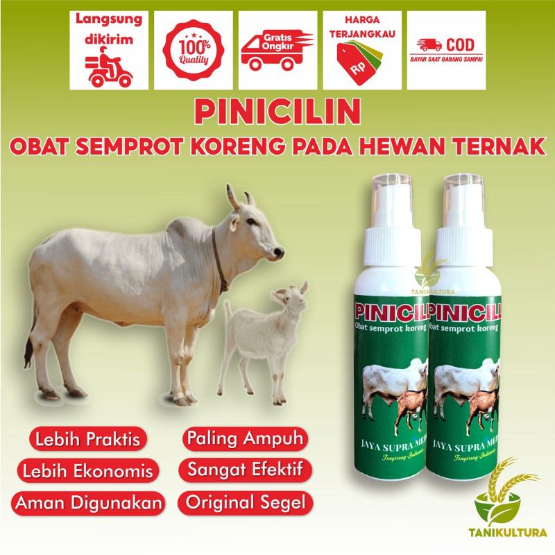 Jual PINICILIN OBAT SEMPROT LUKA HEWAN | Shopee Indonesia