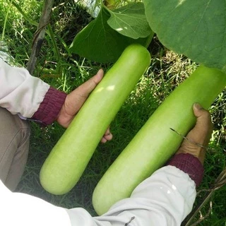 Jual Blonceng Terlengkap & Harga Terbaru Juli 2024 | Shopee Indonesia