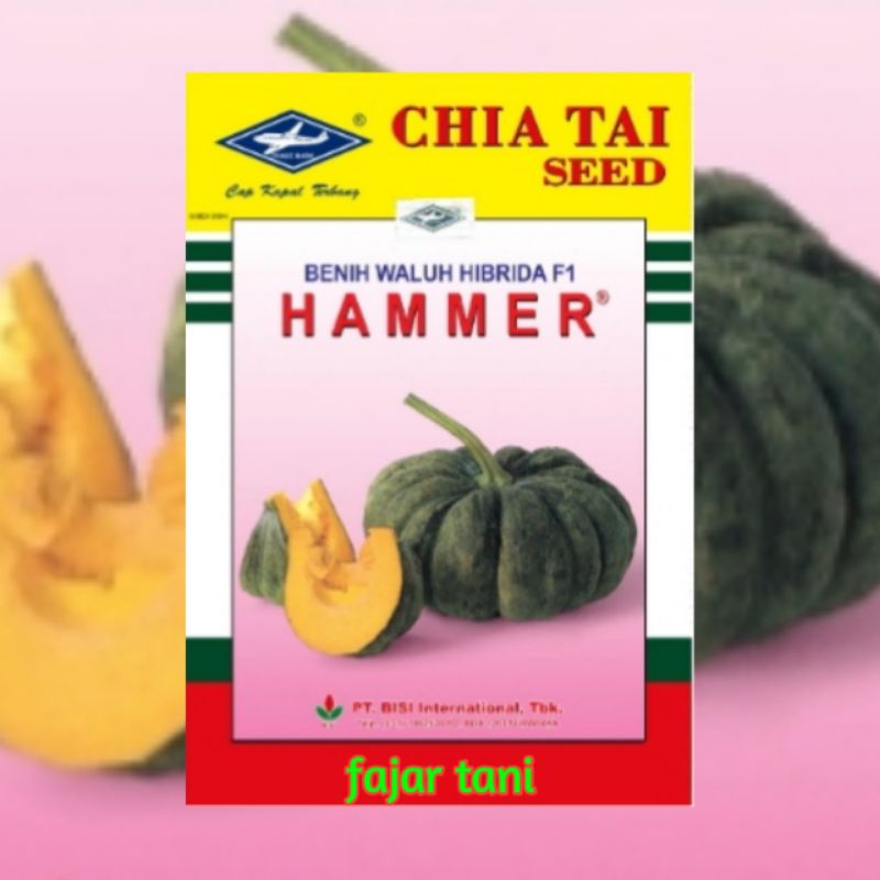 Jual Benih labu HAMMER f1 isi 5gr bibit waluh cap kapal terbang ...
