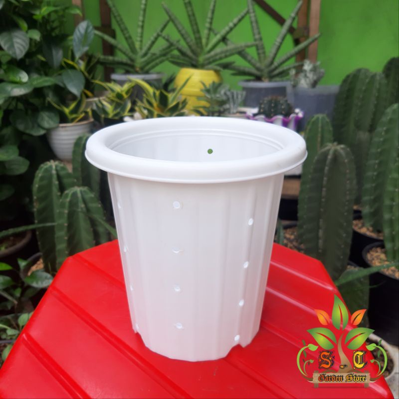Jual POT BUNGA YOGAP YPT 13 BERLUBANG BENING / TRANSPARAN PUTIH & MERAH ...