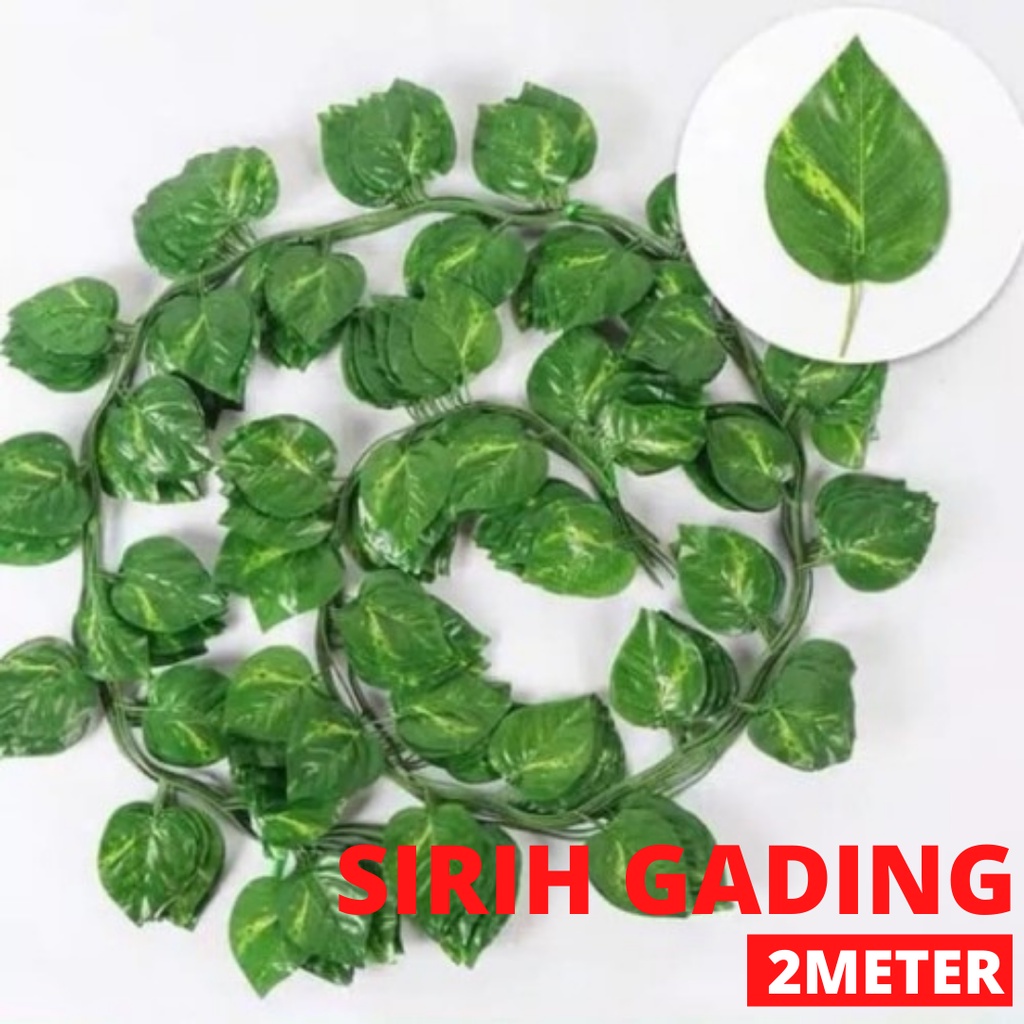 Jual Daun Rambat SIRIH GADING 2METER / Daun Artficial Plastik | Shopee ...