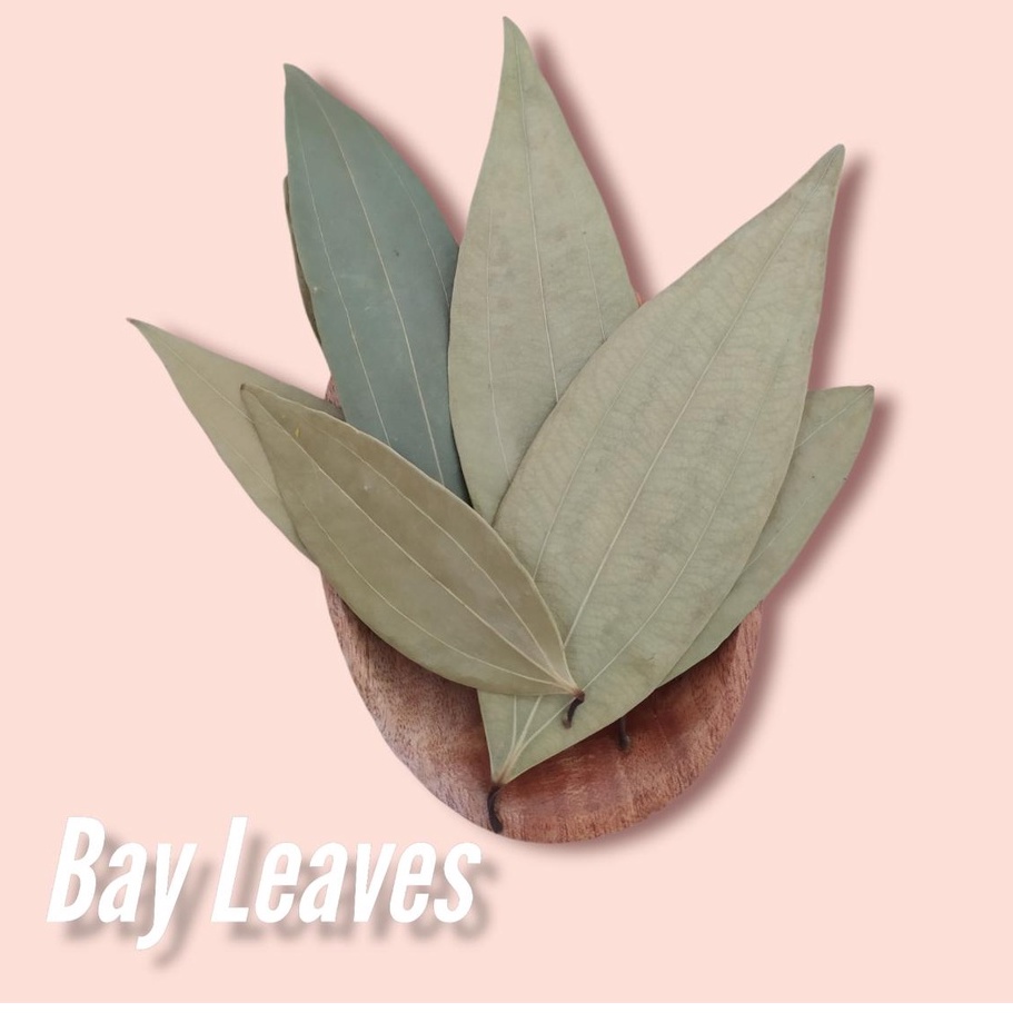 Jual Daun Bay Leaves (25gr) | Daun Salam India Premium Jumbo Size ...