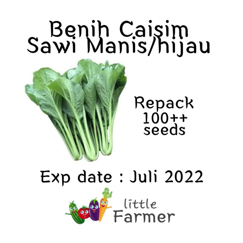 Jual Benih caisim sawi manis hijau repack | Shopee Indonesia
