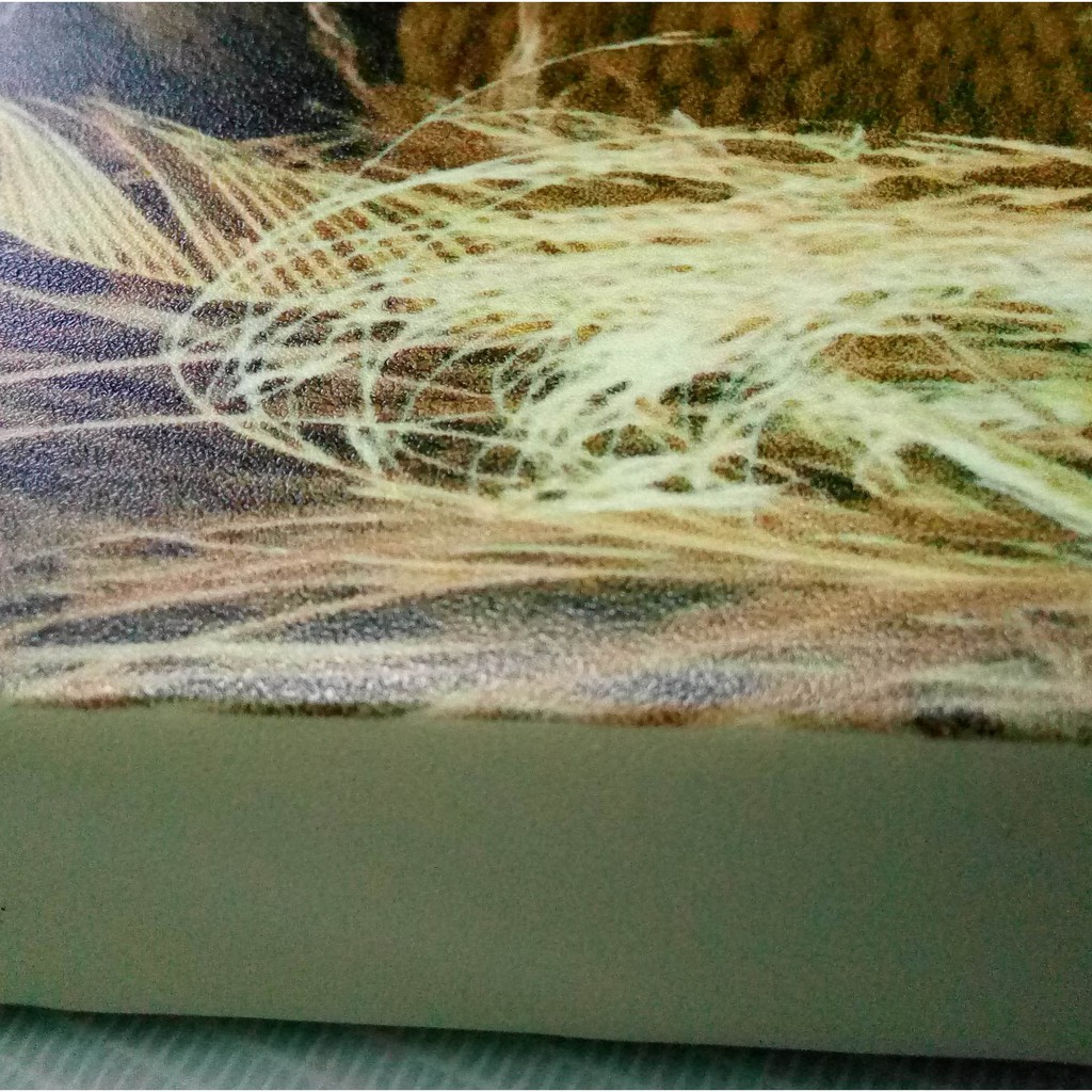 Jual CETAK FOTO 30R (75x100) LUSTER PREMIUM PLUS BINGKAI KAYU ...