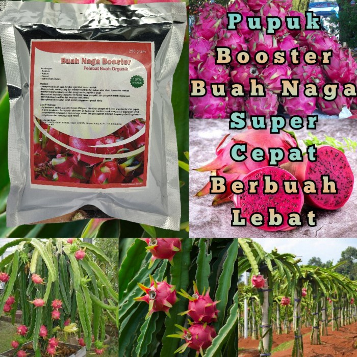 Jual NEW Pupuk Organik Pelebat Buah dan Booster Buah Naga Cepat Berbuah Lebat | Shopee Indonesia