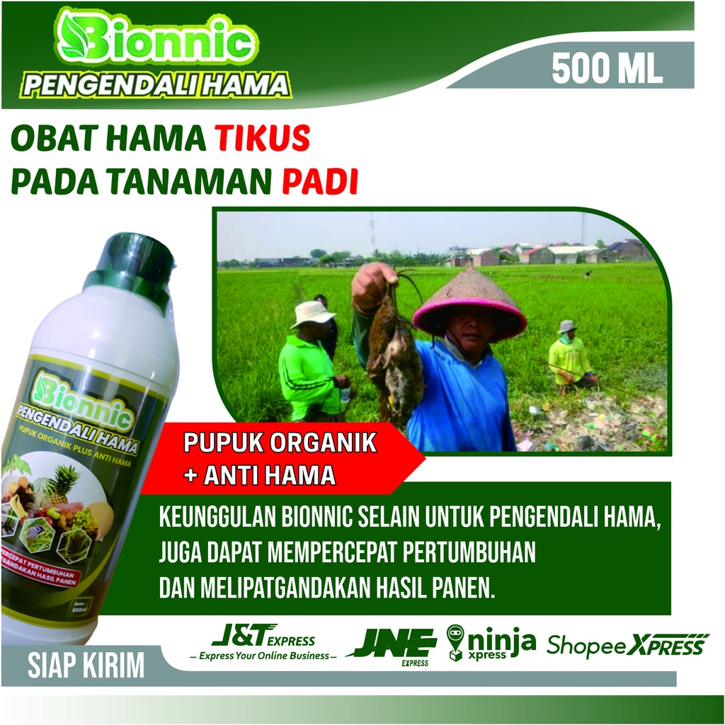 Jual Obat Hama Tikus Loudest Pada Padi - BIONNI Obat Racun Hama Tikus ...