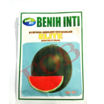 Jual BENIH BIJI BIBIT l BENIH INTI l SEMANGKA ELITE | Shopee Indonesia