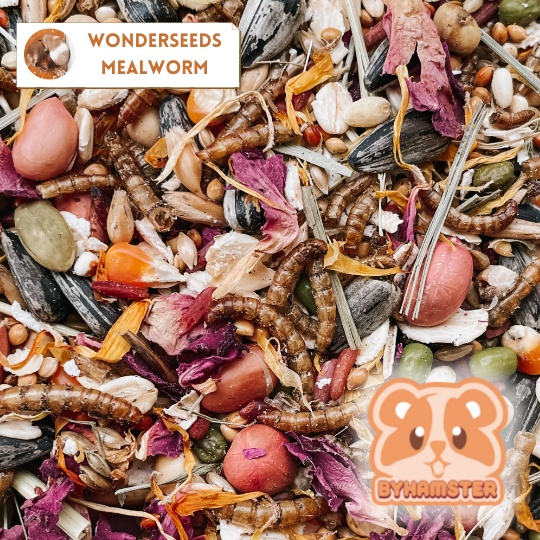 Jual MIJIU | Wonderseeds Mealworm Seedmix byHamster | Seedmix Hamster ... Jual MIJIU | Wonderseeds Mealworm Seedmix byHamster | Seedmix Hamster ...