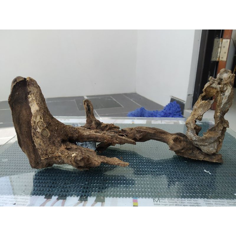 Jual paket kayu rentek aquascape paludarium aquarium | Shopee Indonesia