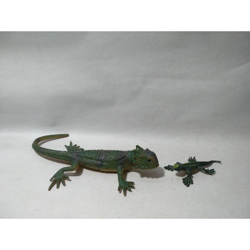 Jual Kadal Lizard Reptil Reptile Bengkarung Lelasan Buncini Skink Alat ...