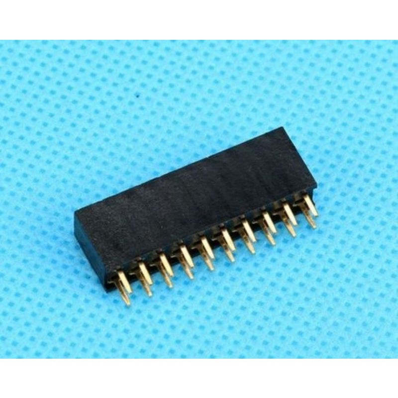 Jual Header Female 2X10 Pin p 20P 2.54mm Double Row Straight 2x10p 2 x ...