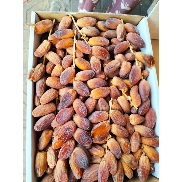 Jual KURMA TUNISIA TANGKAI 5KG / KURMA TUNIS TANGKAI OASIS | Shopee ...