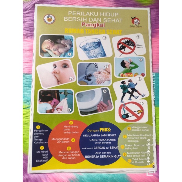 Jual Poster PHBS Rumah Tangga Sehat | Shopee Indonesia