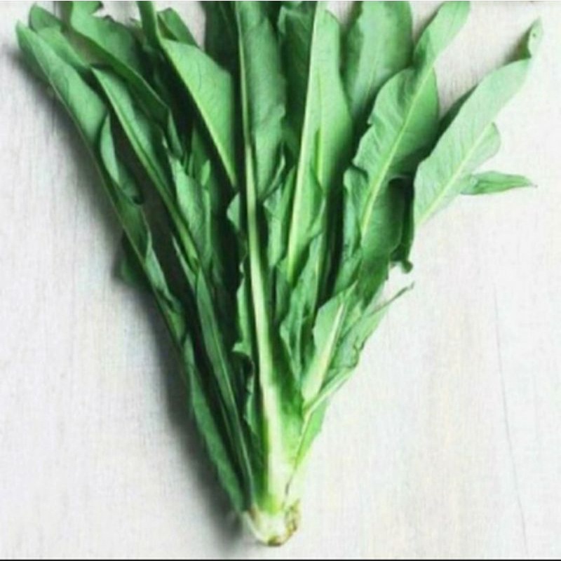 Jual Benih Sayur Fumak Leaf - Selada Wangi ( 100 Grm ) | Shopee Indonesia