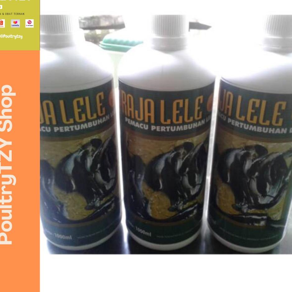 Jual PROBIOTIK RAJA LELE Uk. 1 Liter | Shopee Indonesia