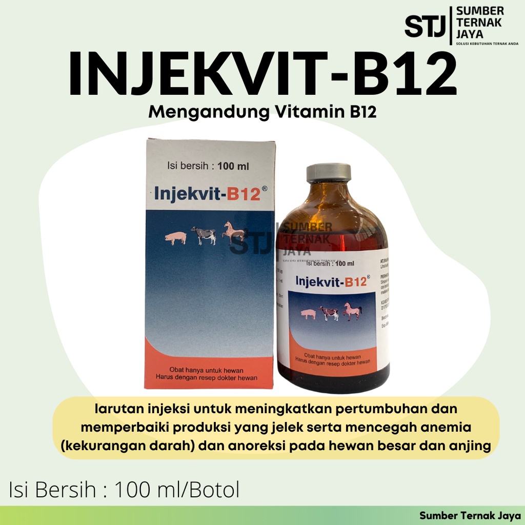 Jual INJEKVIT B12 100ml Larutan Injeksi Untuk Perbaiki Kondisi Tubuh ...