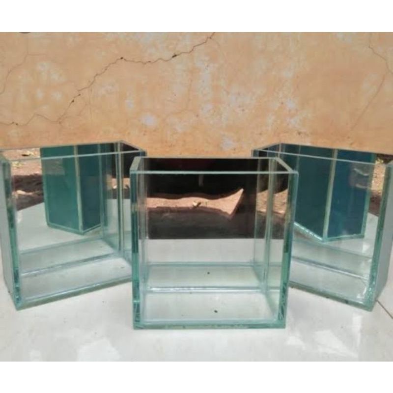Jual Soliter cupang soliter selvi aquarium mini soliter cermin kiri ...